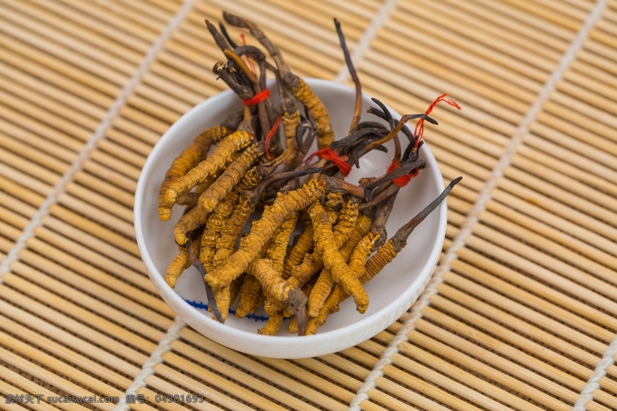 冬虫夏草素材图片下载-素材编号04301693-素材天下图库