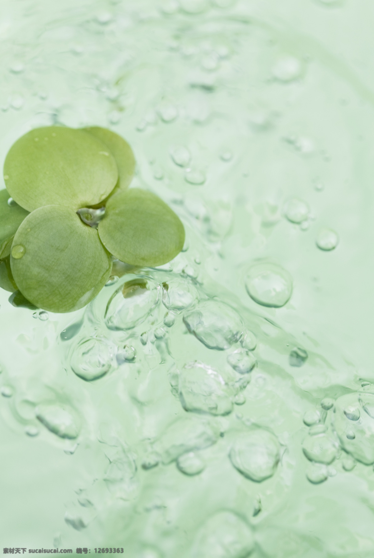 水草素材图片下载-素材编号12693363-素材天下图库